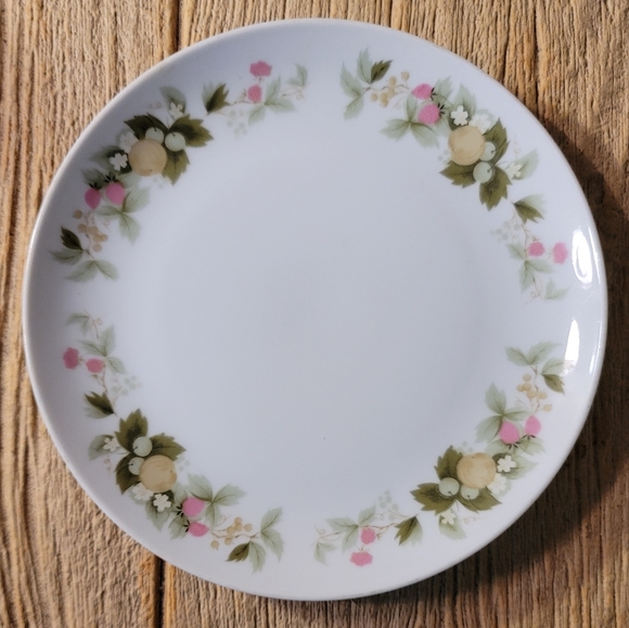 Couturee | Dining | Couturee Fine Translucent China R44 Made In Japan ...